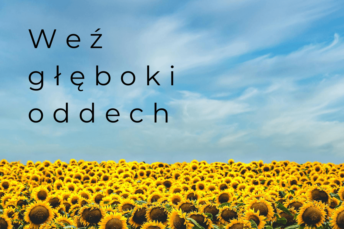 Weź głęboki oddech czyli aplikacja do poprawy produktywności